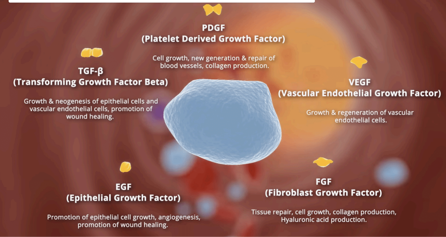 Overview of PRP Therapy | Boise Biologics